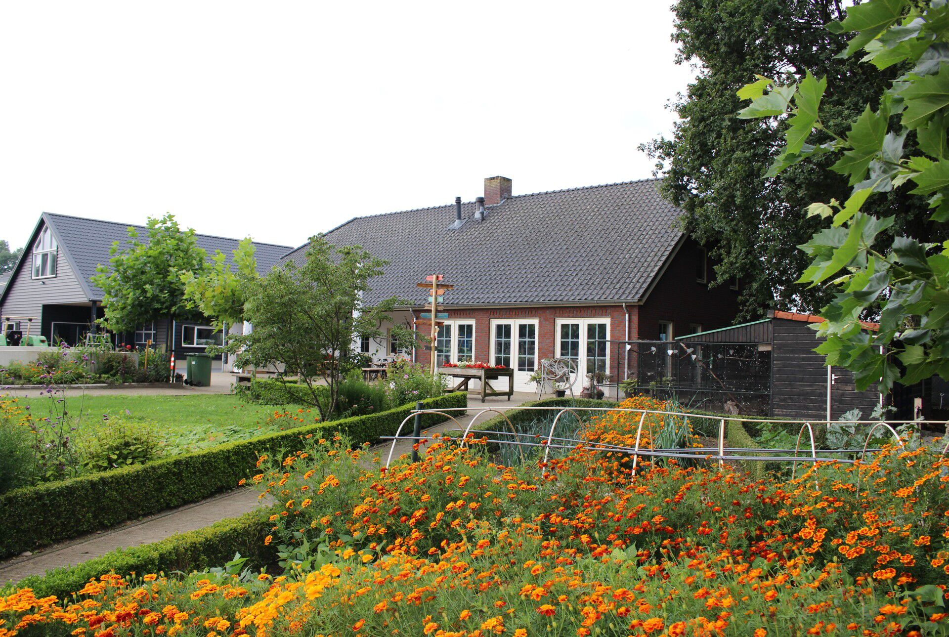 Open dag Zorgboerderij de Horst & Millsveld - Ontdek Mill